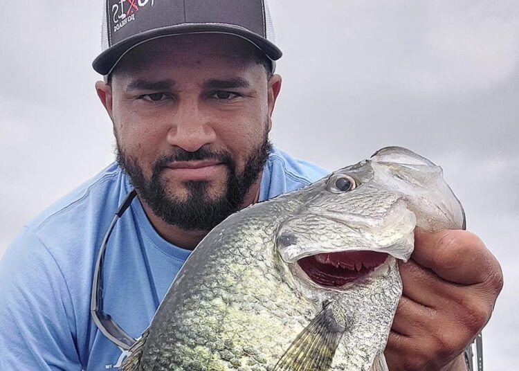 Pro Staff - Black Speck